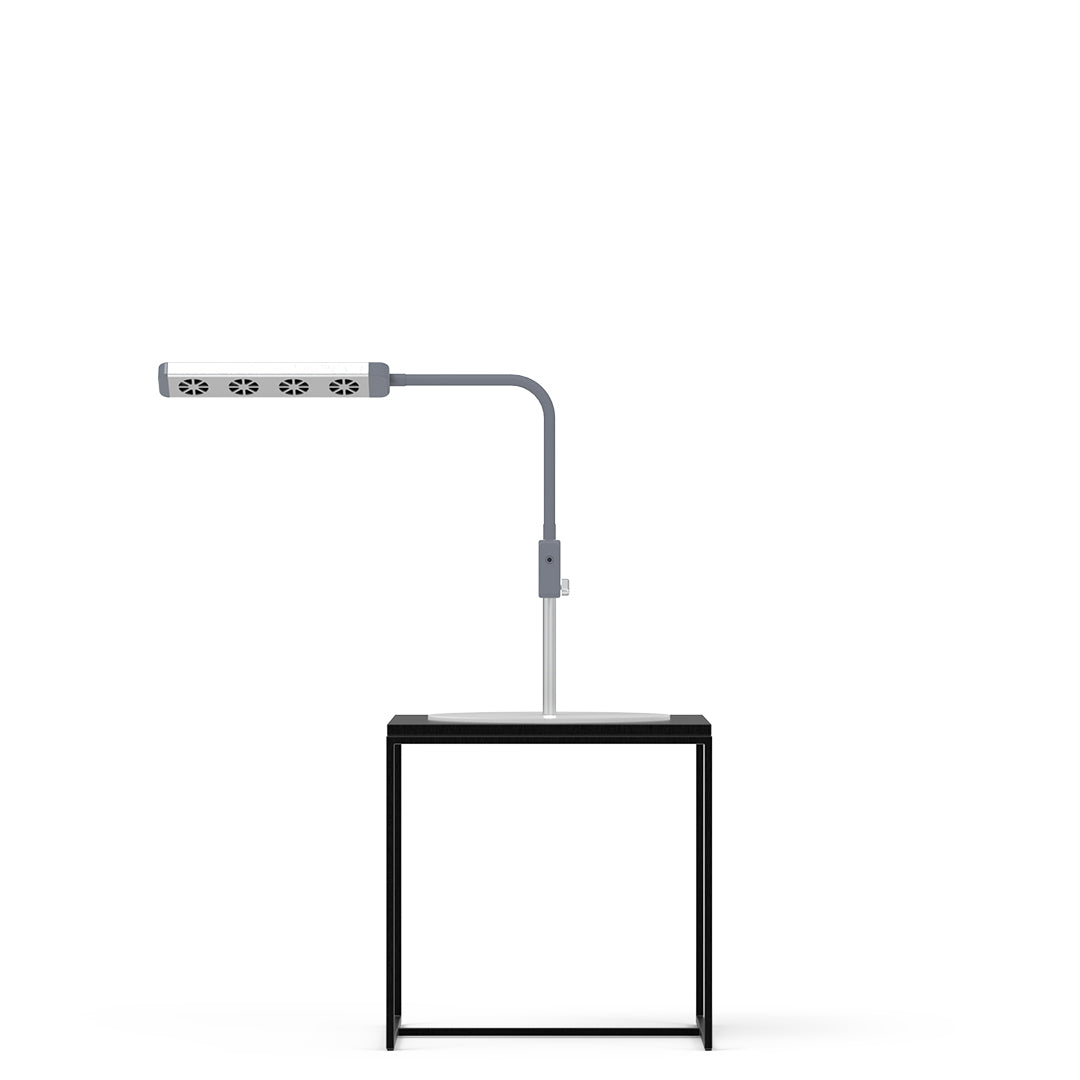 Table Top Light Kits