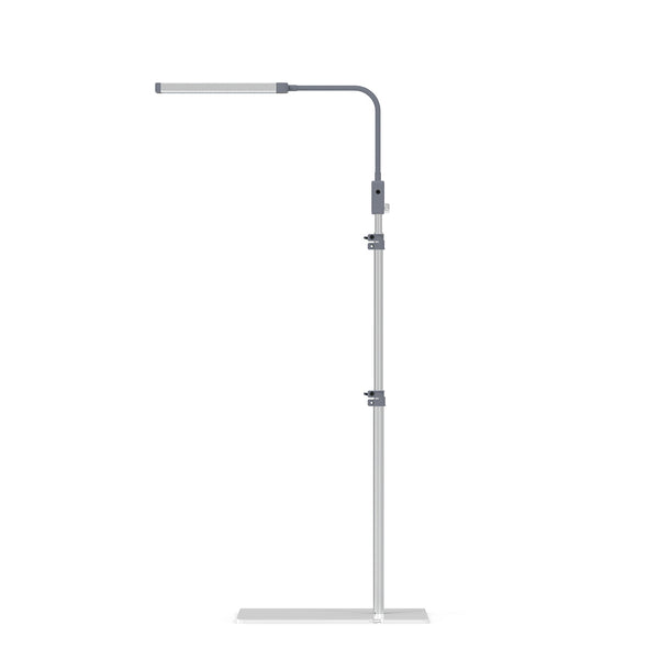 GLAMCOR | REVEAL - Light Only - Premium LED Lighting for Beauty ...